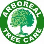 Tree Pruning & Tree Removal Rockingham to Bunbury | Tree Arborist