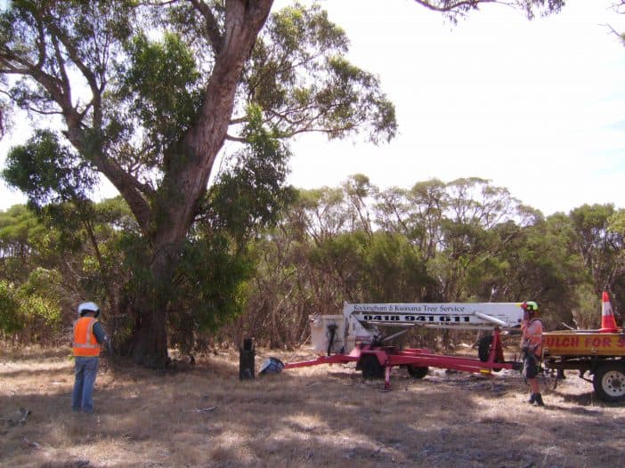 Fauna Management Service Rockingham to Bunbury | 0402 274 259