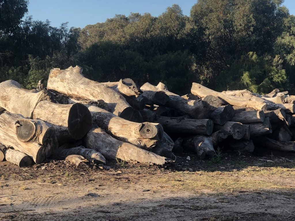 Firewood Rockingham to Bunbury | Arboreal Tree Care | 0402 274 259