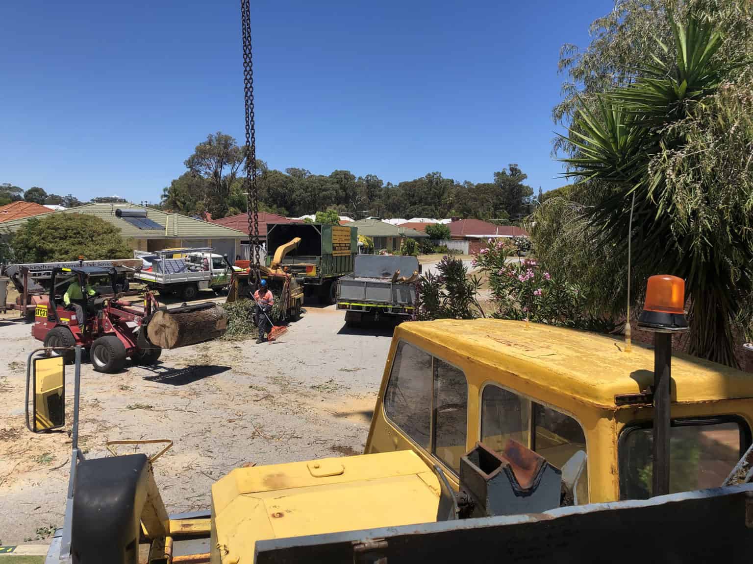 Professional Tree Services Rockingham to Bunbury | Arboreal Tree Care