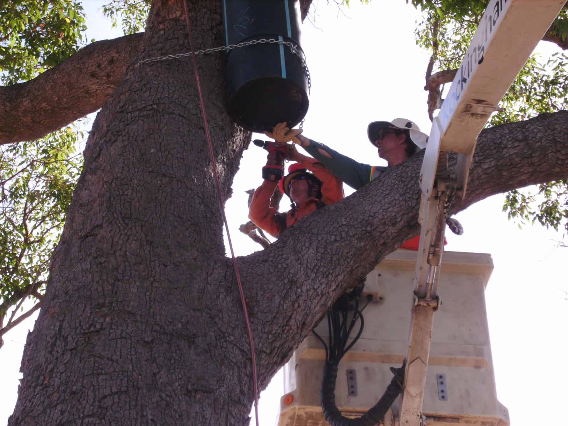 Fauna Management Service Rockingham to Bunbury | 0402 274 259